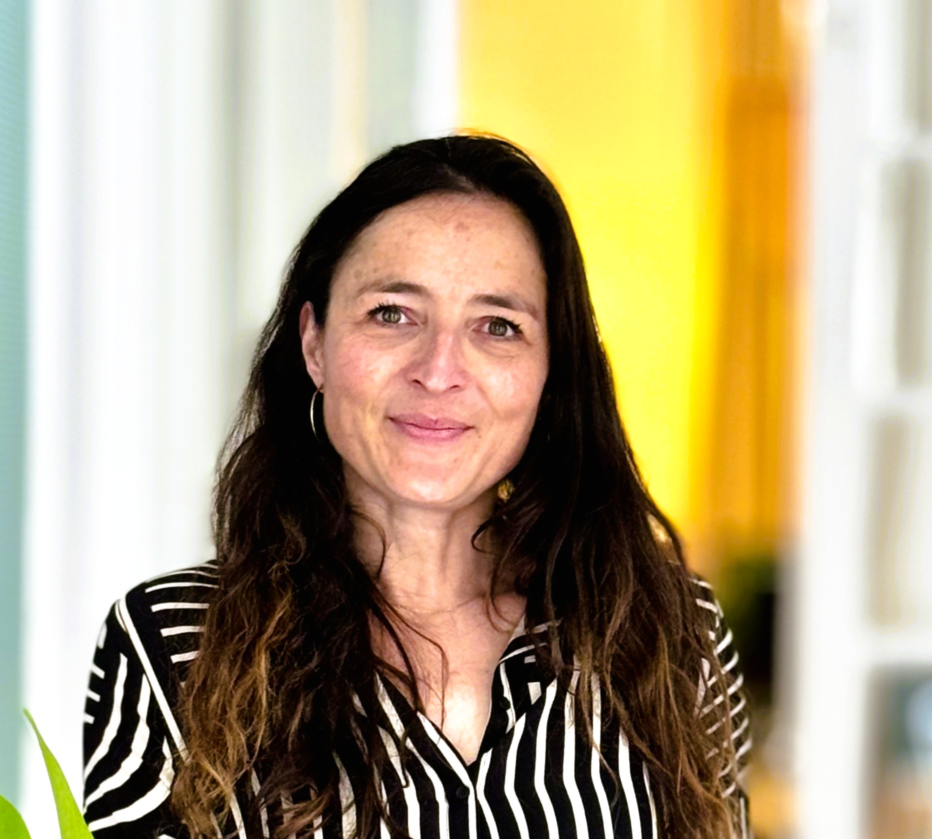 Paula Caterino - L'Université Numérique